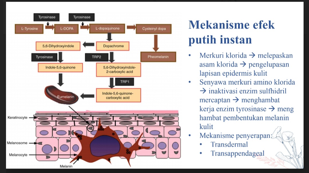 Bahaya Kosmetik Bermerkuri, Hati-Hati Dengan yang Instan - duoMAZ